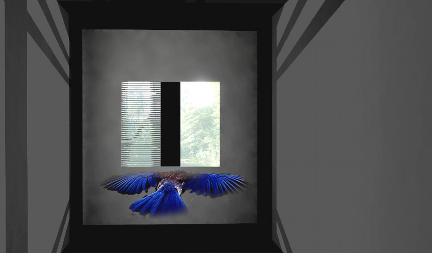 Bird-Friendly Glass Lab - ennead lab