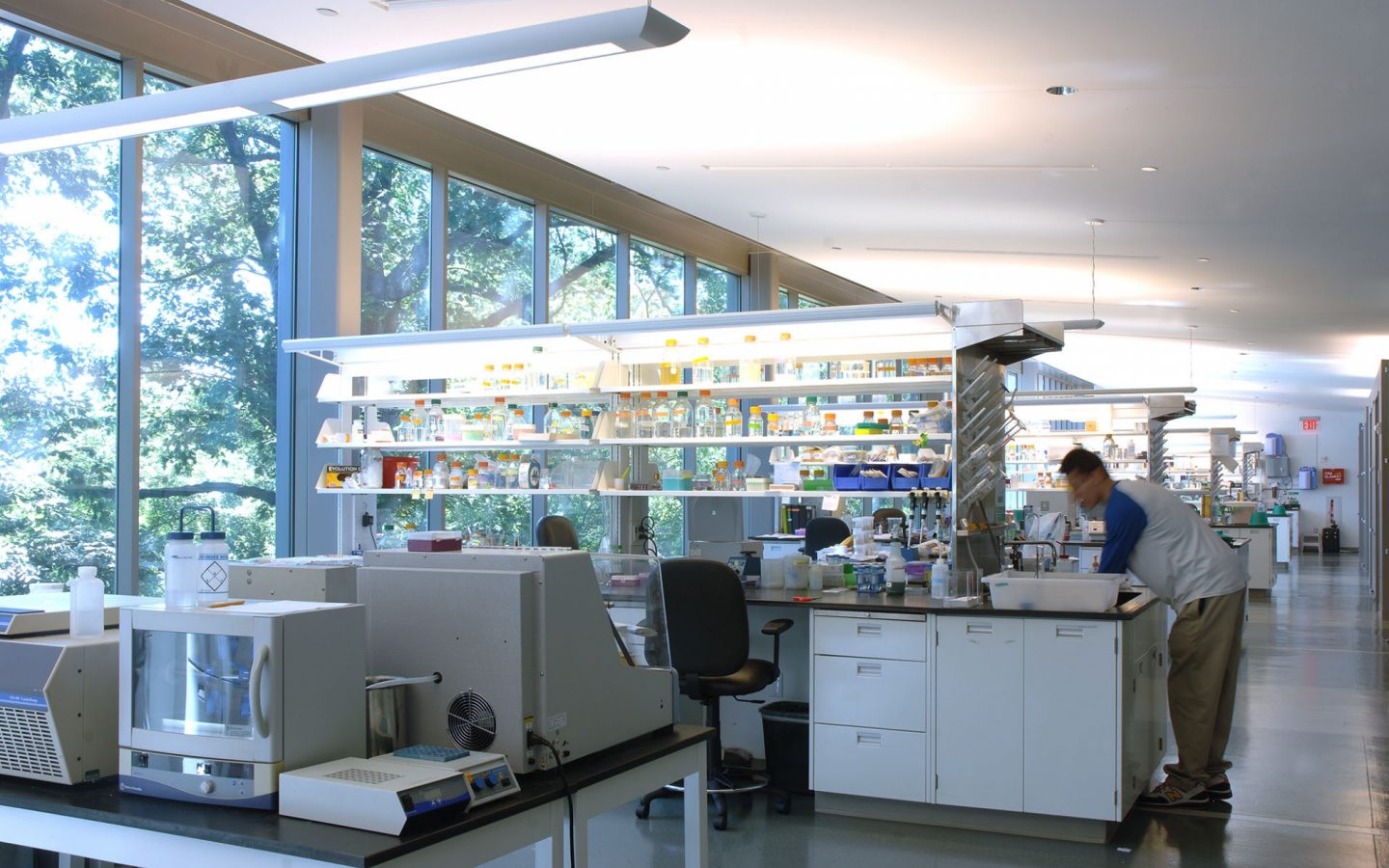 Research Laboratory Optimization Study - ennead lab