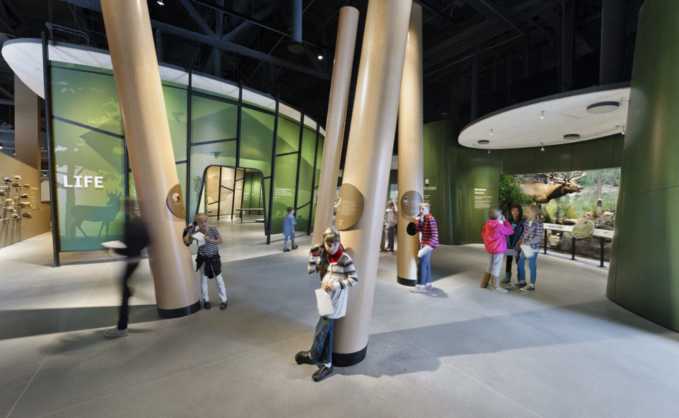 Natural History Museum of Utah - ennead