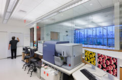 New York University, Center for Genomics and Systems Biology - ennead