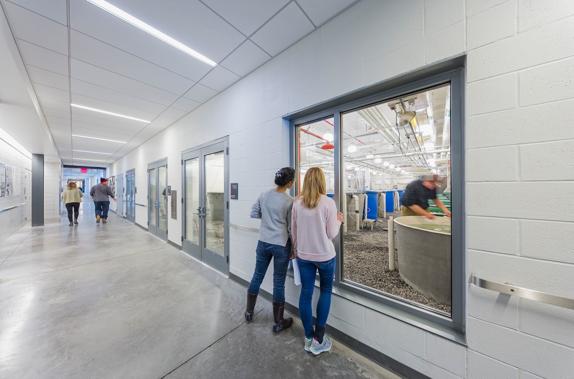 State University of New York at Cobleskill, Center for… - ennead