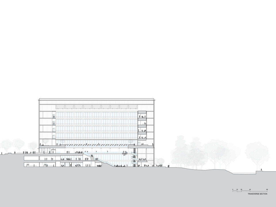 The University of Texas at Austin Cockrell School of… - ennead