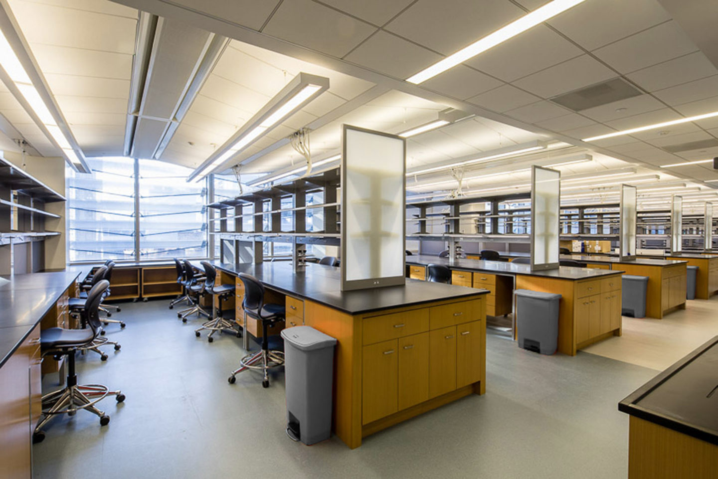 NYU Langone Health, Science Building and School of Medicine - ennead