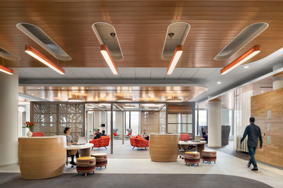 The David H. Koch Center for Cancer Care at Memorial Sloan… - ennead