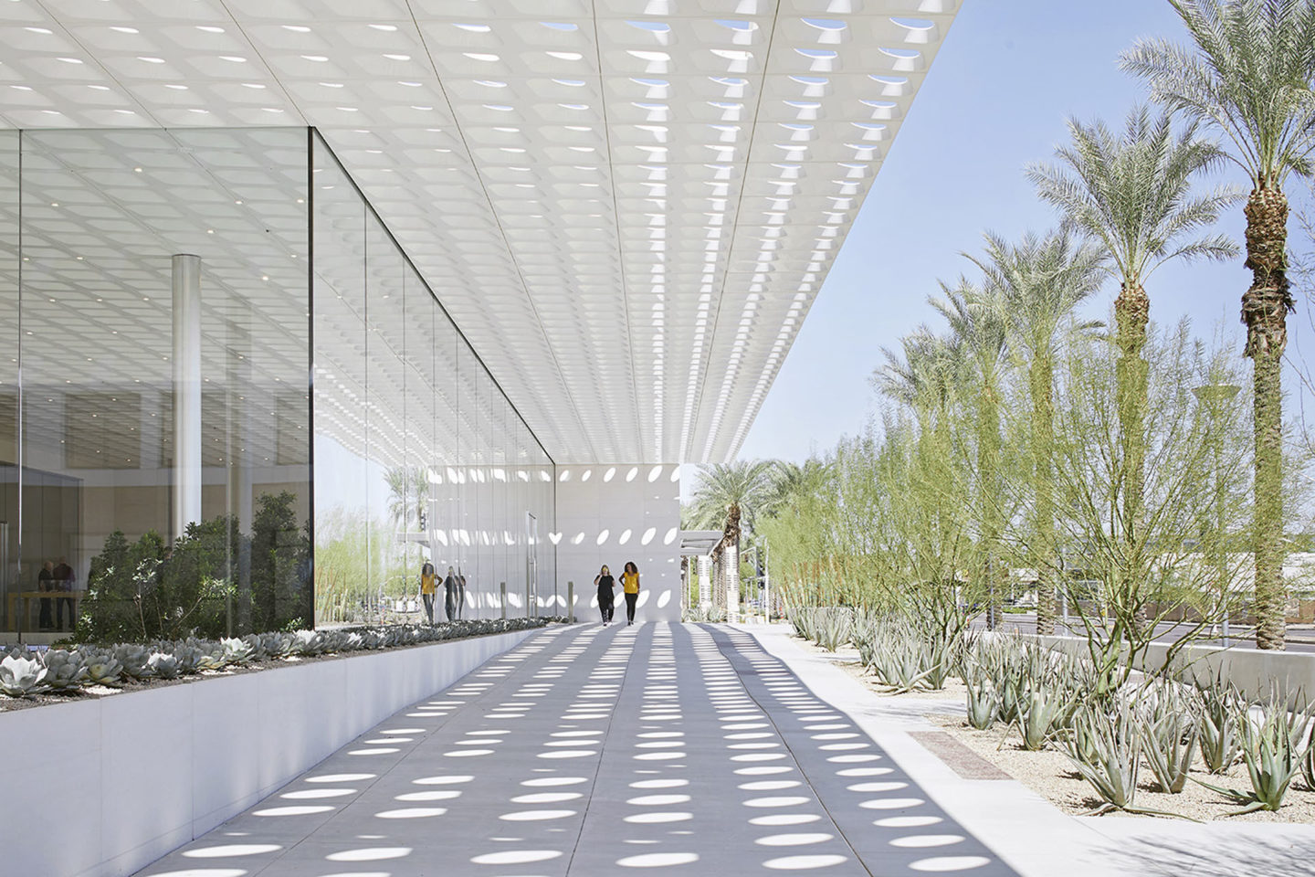 Apple Scottsdale Fashion Square honored with AIA Arizona's… - ennead